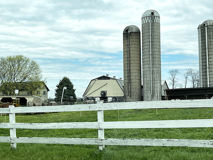 No GPS needed in Paradise - just follow the well-worn paths where buggies have traveled for generations.