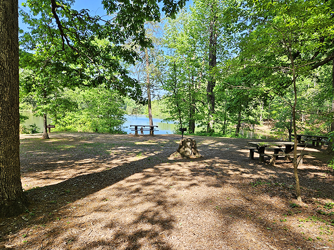 Shaded camping spots where your biggest decision involves choosing between hammock time or hiking boots.
