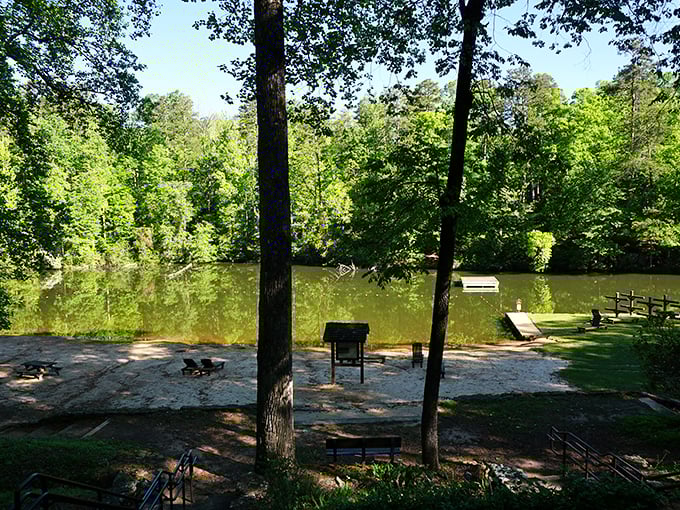 Peaceful lake waters reflect surrounding trees like a giant mirror that never needs cleaning or polishing.