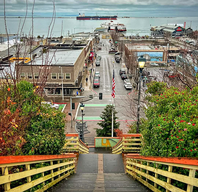 This elevated view reveals a maritime town where the Strait meets small-town charm perfectly.