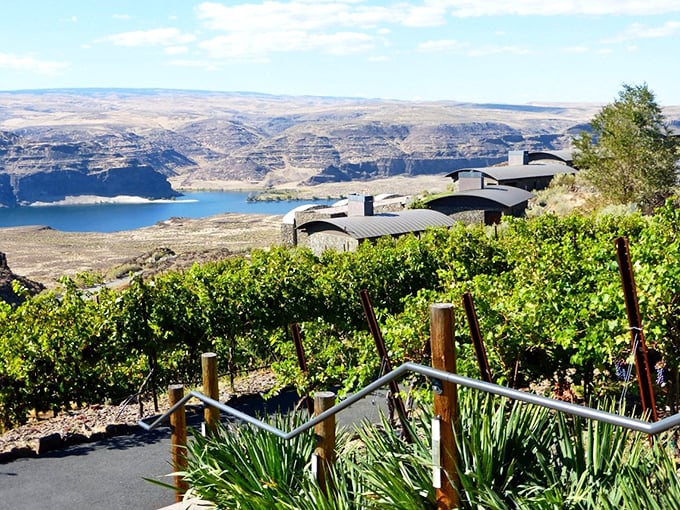 Lush greenery surrounds Quincy with natural beauty that doesn't cost a penny to appreciate.