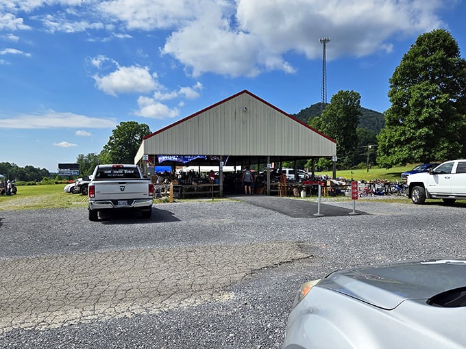 Open-air pavilions create the perfect setting for leisurely treasure hunting surrounded by West Virginia's natural beauty.
