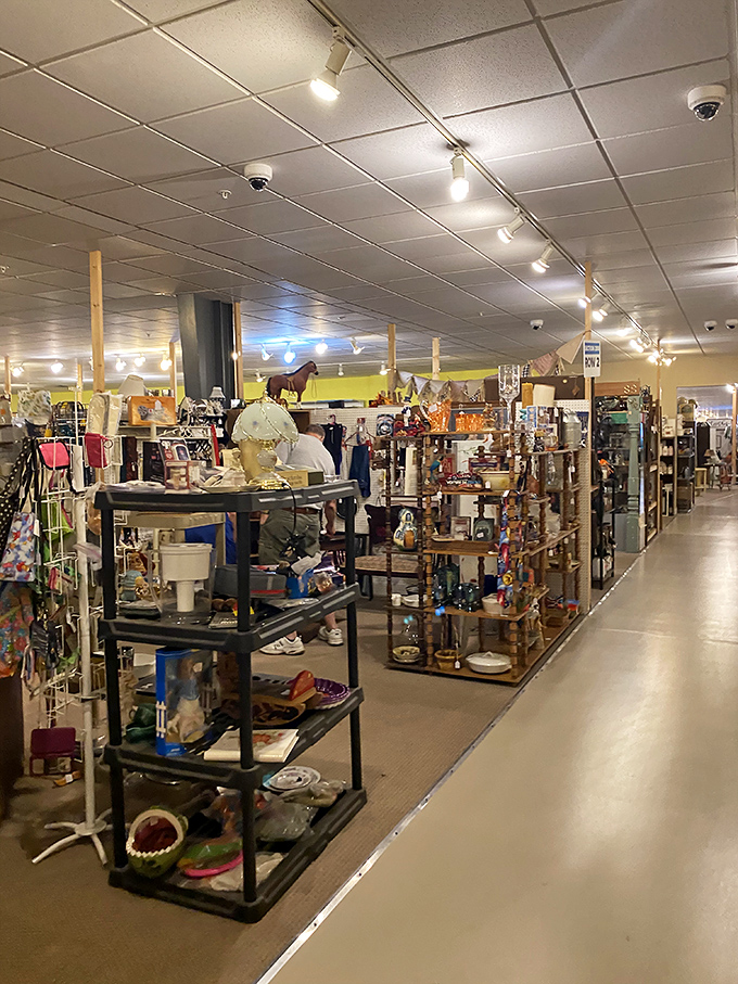 Shelves stacked with treasures create narrow pathways through this Aladdin's cave of secondhand wonders.