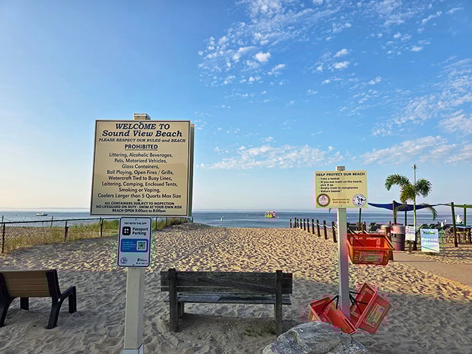 Golden hour at Sound View Beach proves that some of life's best entertainment is absolutely free and breathtaking.