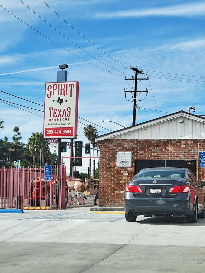 When you spot a longhorn at the entrance, you know you've found authentic Texas-style BBQ that doesn't mess around.