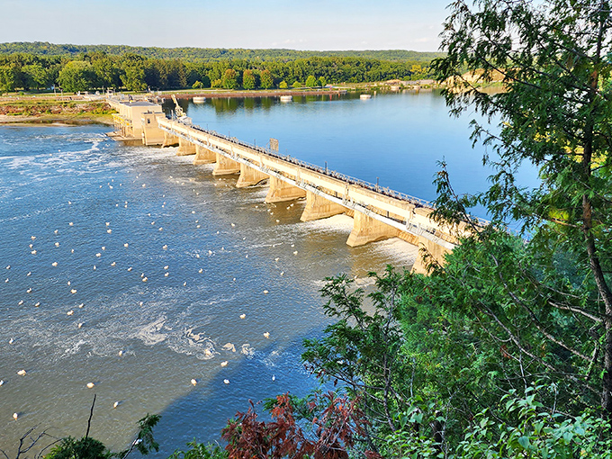 The Starved Rock Lock and Dam offers a peaceful view where the Illinois River flows steady and strong beneath wide Midwestern skies.
