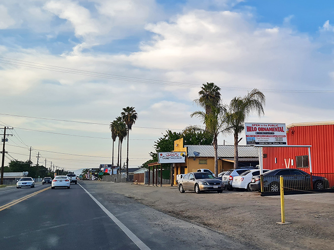 This peaceful Visalia neighborhood looks like the kind of place where neighbors still wave from their front porches.