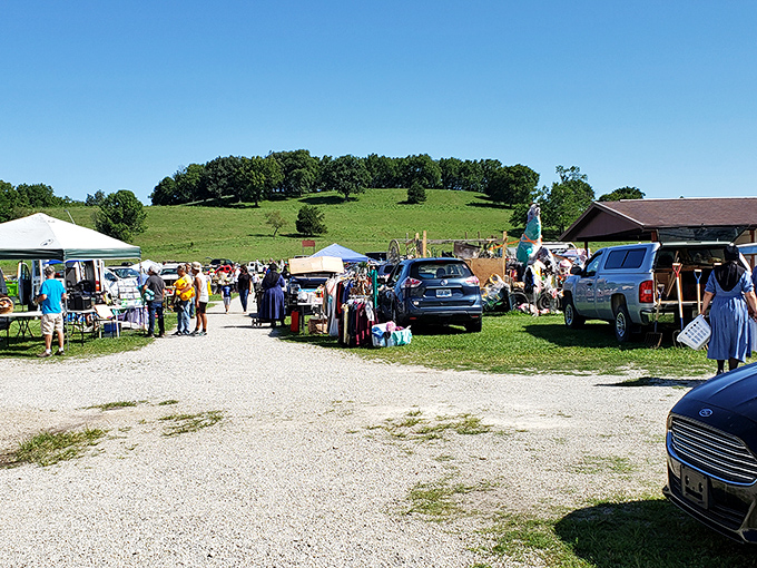 A treasure hunter's paradise! White's Farm Flea Market spreads across rolling Indiana countryside, where bargain hunters and vintage lovers gather under the summer sky.
