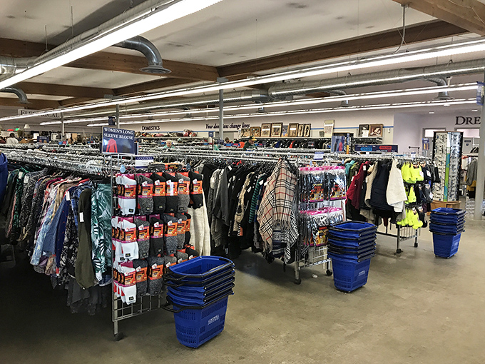 Clothing racks stretch toward the horizon like Alaskan tundra. Each aisle promises undiscovered fashion gems waiting for their second chance.