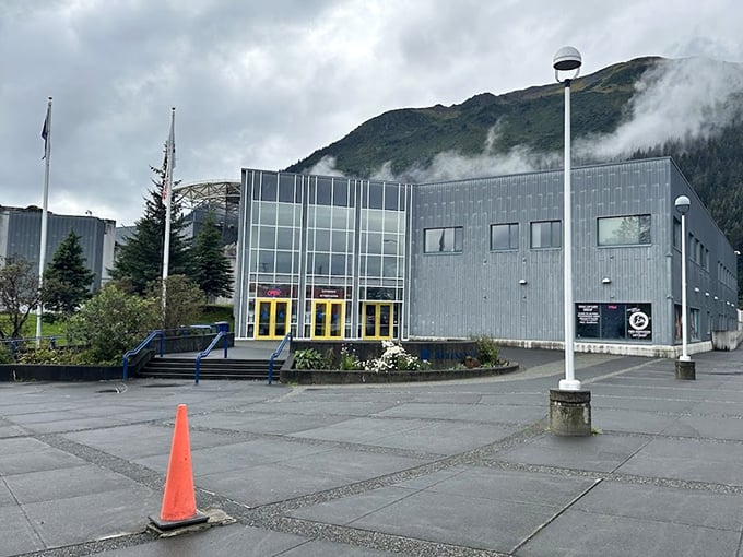 The Alaska SeaLife Center isn't just a building &ndash; it's where science meets wonder, all wrapped in contemporary architecture that respects its surroundings.