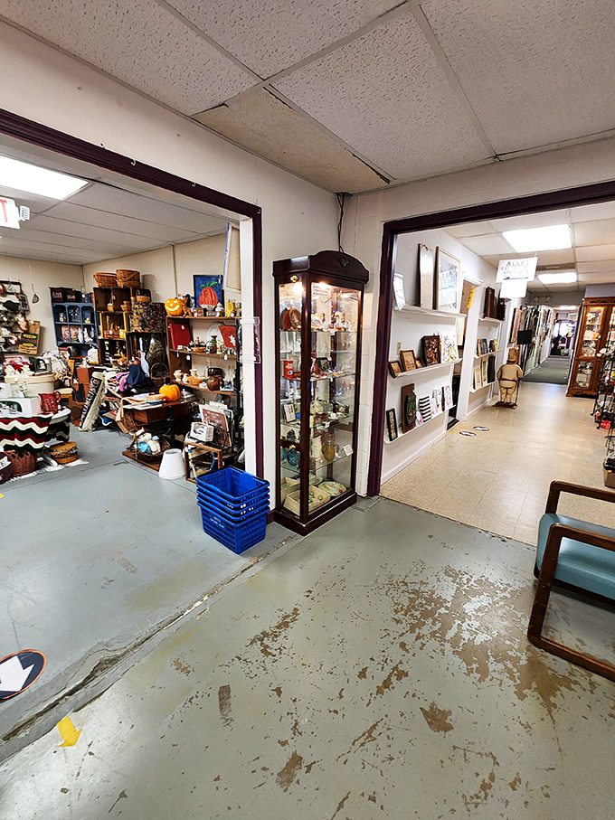The organized chaos of a well-curated antique space, where each vendor creates their own little museum of American life.