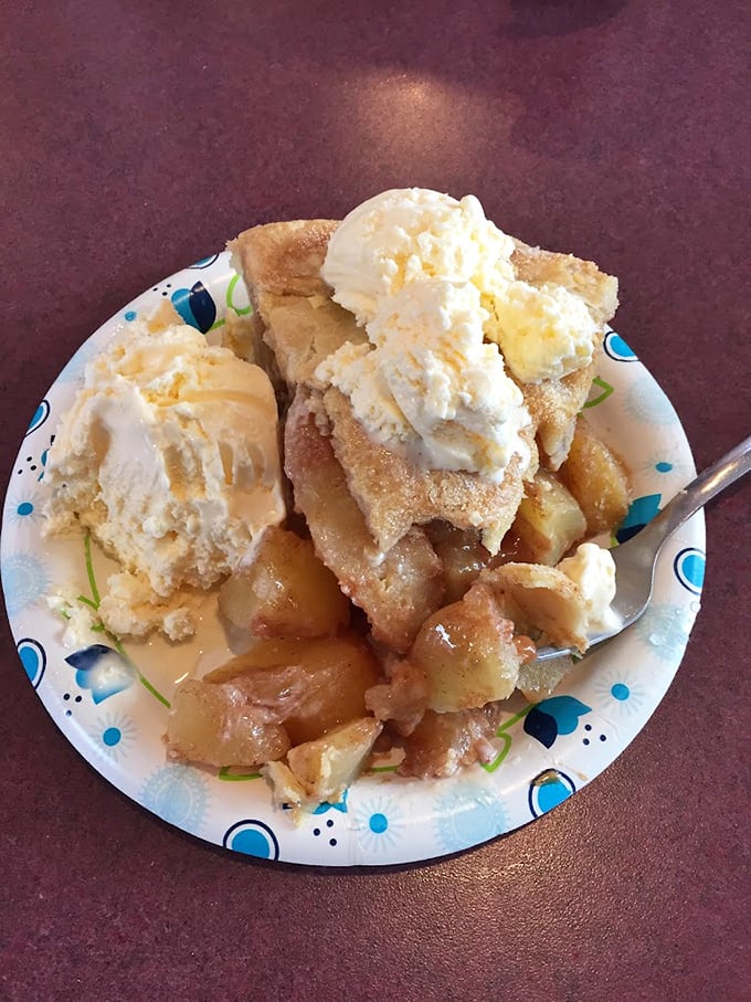 Apple pie with that golden, flaky crust—the kind that makes you understand why America claimed this dessert as its own.