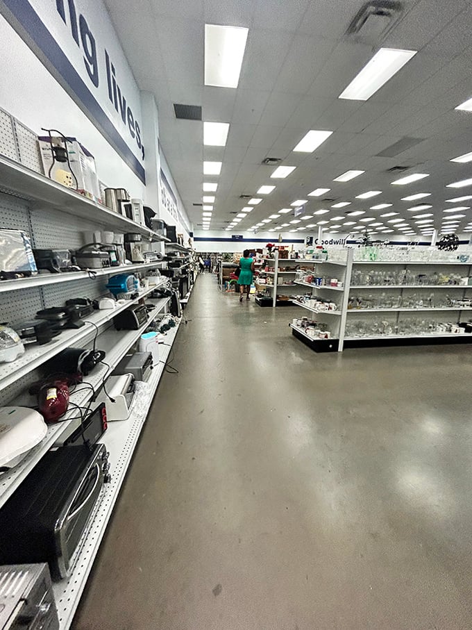 The appliance aisle beckons kitchen enthusiasts with coffee makers, blenders, and bread machines that have barely seen a countertop.