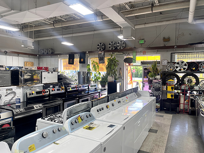 Major appliances lined up like obedient soldiers, ready to join your laundry room and make chores slightly less terrible.