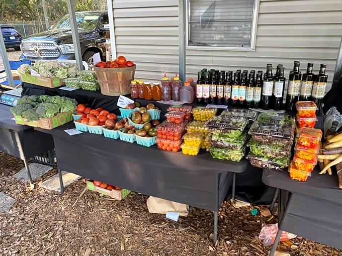 A farmer's market spread that puts grocery stores to shame – nature's color palette arranged with care, from vibrant greens to sunset reds.