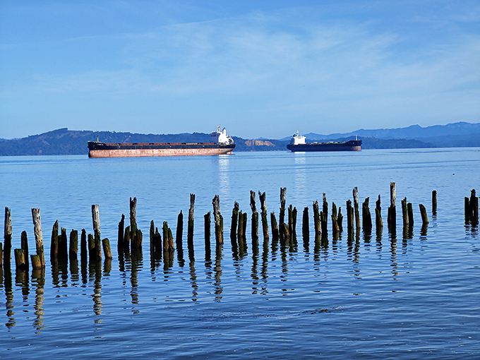 Old pilings stand like sentinels in the Columbia, reminders of Astoria's bustling past while cargo ships chart its future.