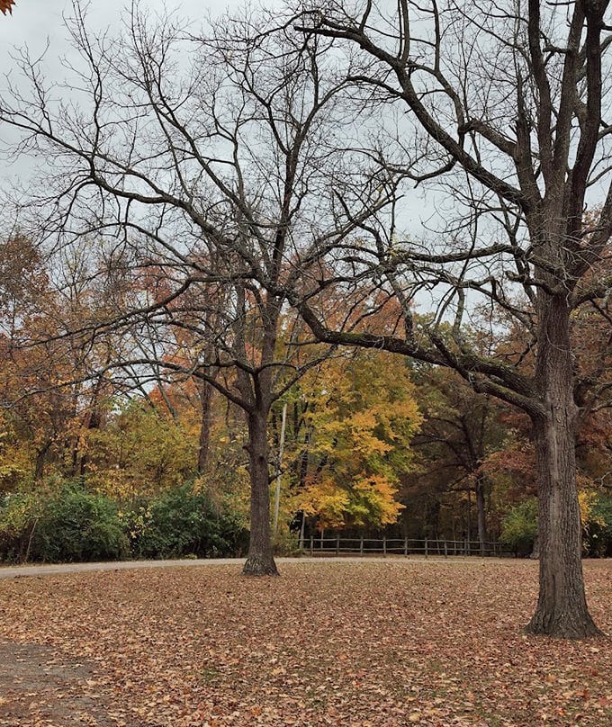 Fall's carpet of leaves makes every step sound like nature's own bubble wrap.