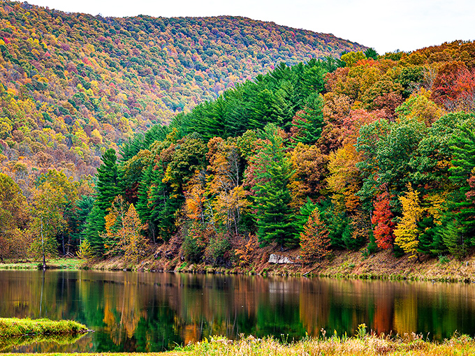 Autumn at Sinnemahoning is when the mountains dress in their Sunday best, creating reflections so perfect they'd make Narcissus jealous.