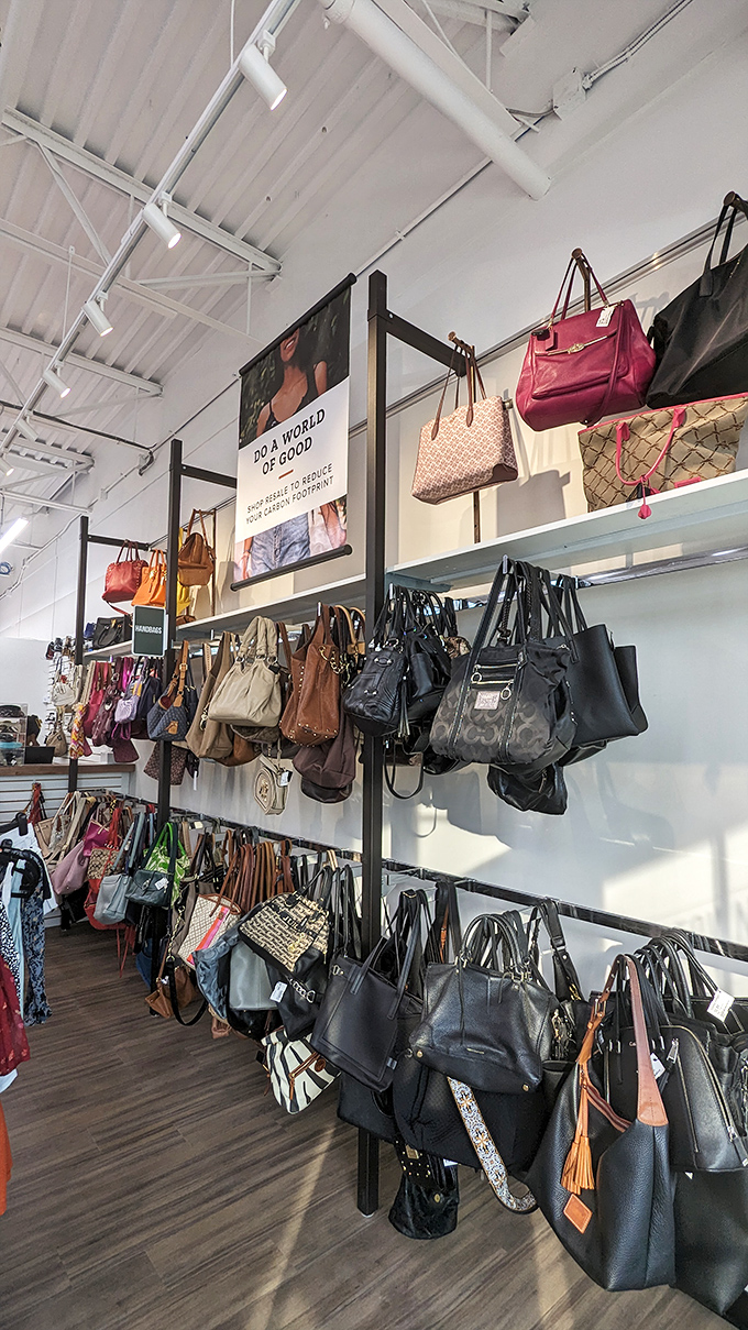 Handbag heaven! Designer purses enjoying their second chapter, hanging like fashionable fruit from a very stylish tree.