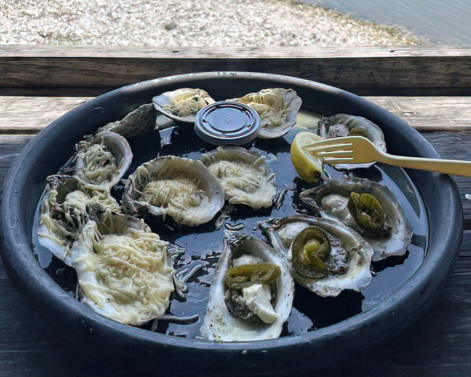 Baked oysters with cheese that would make even a French chef nod in approval. Sometimes tradition needs a little indulgent upgrade.