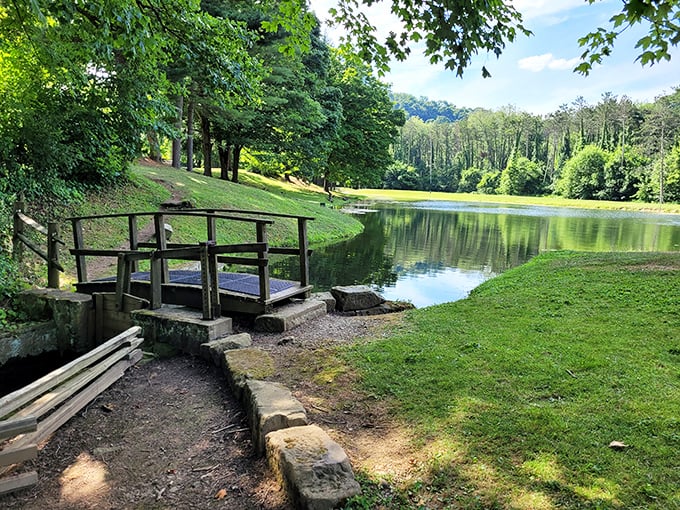 Nature delivers five-star views without the five-star prices at this serene park setting, where a simple wooden bridge invites contemplative strolls.