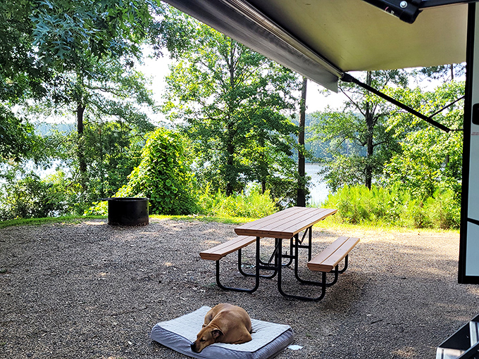 At Beaver Dam Campground, even the dogs know how to vacation properly&mdash;lakeside views and zero emails to check.