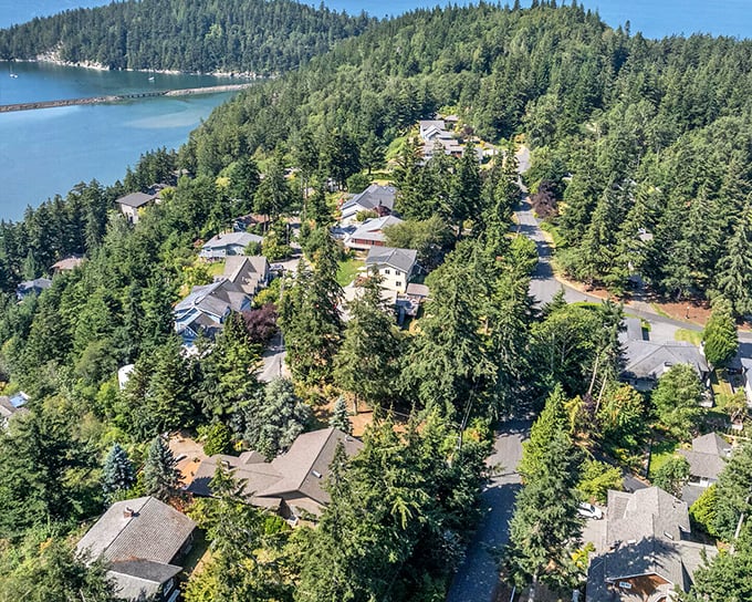 Homes nestled among towering evergreens with water views that would cost millions elsewhere. In Bellingham, it's just Tuesday.