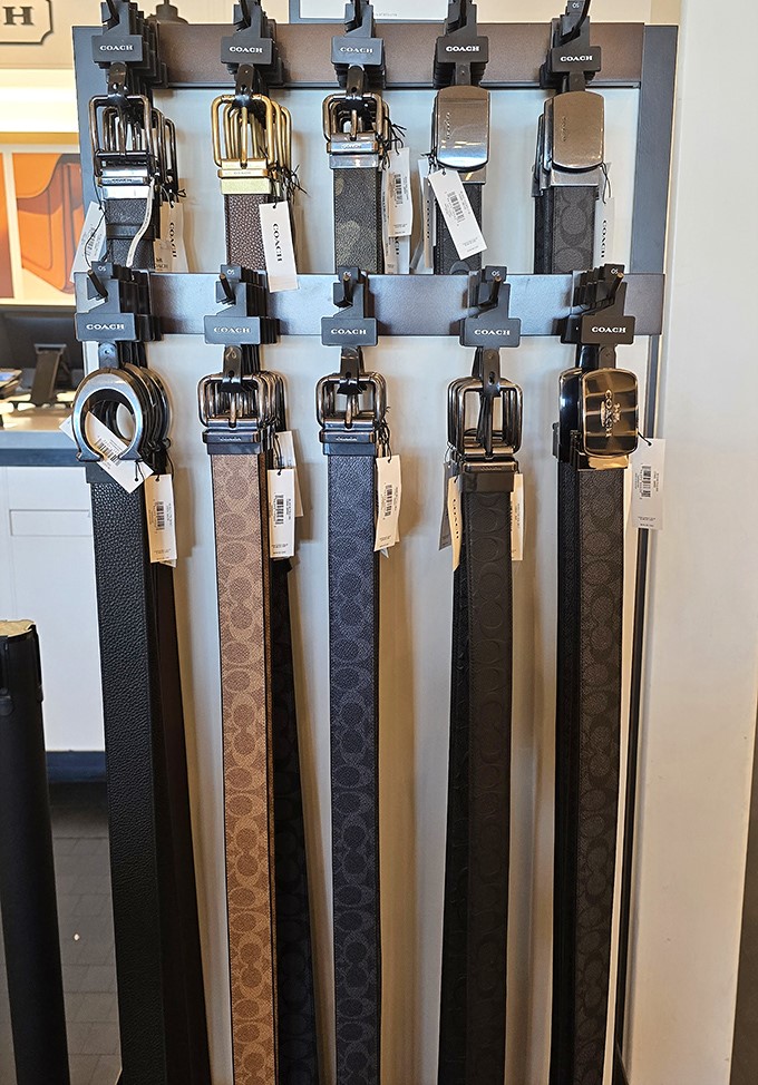 Coach belts lined up like soldiers ready for duty. The perfect middle ground between "treat yourself" and "responsible adult decision."