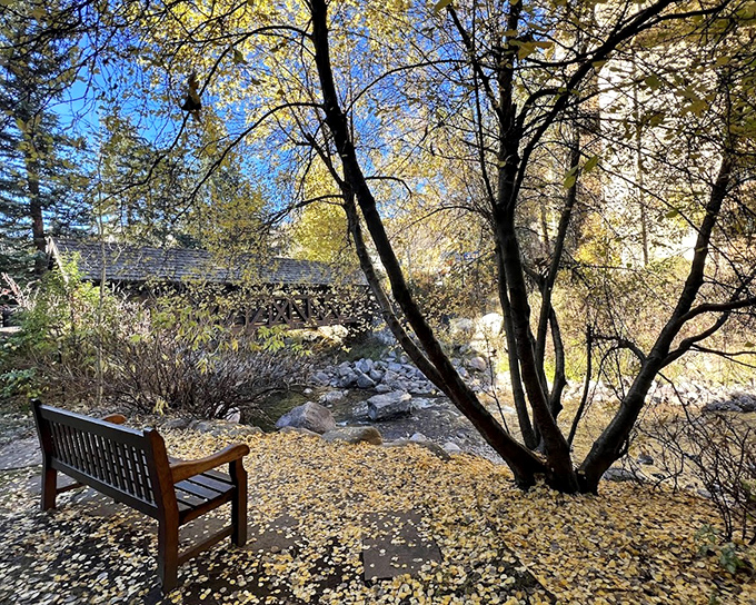 The perfect spot for contemplation&mdash;a wooden bench surrounded by fallen aspen leaves, with the bridge's silhouette playing peekaboo through the branches.