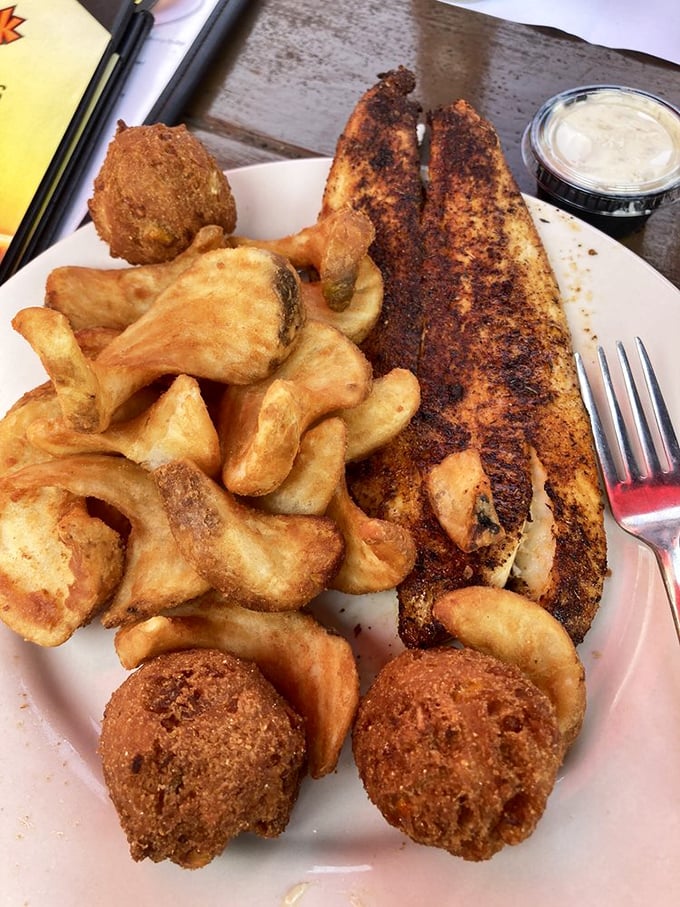 Blackened redfish with a spice crust that could win awards, paired with hushpuppies that demand a moment of respectful silence.