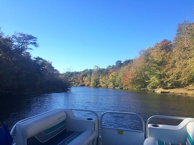 Cruising Little River with fall colors beginning to pop is like floating through a living watercolor. The boat provides front-row seats to nature's seasonal transformation show.