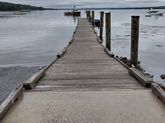 This weathered dock stretches toward adventure like a wooden welcome mat to Frenchman Bay. Low tide reveals nature's ever-changing shoreline gallery.