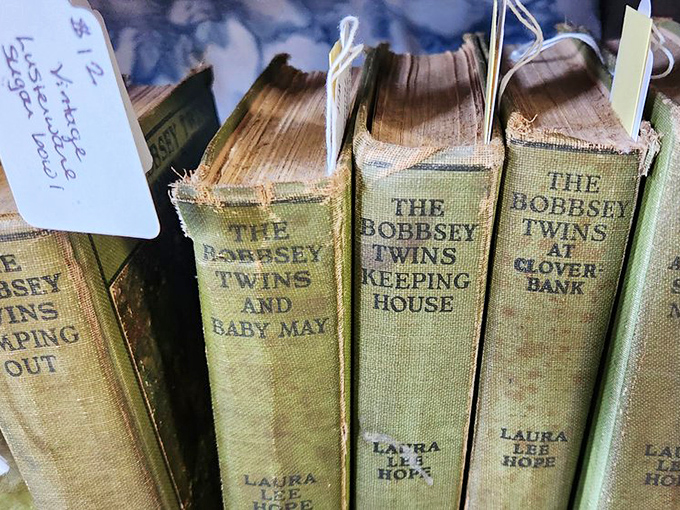 The Bobbsey Twins live on! Vintage children's books with their weathered spines tell stories beyond just the words on their pages.
