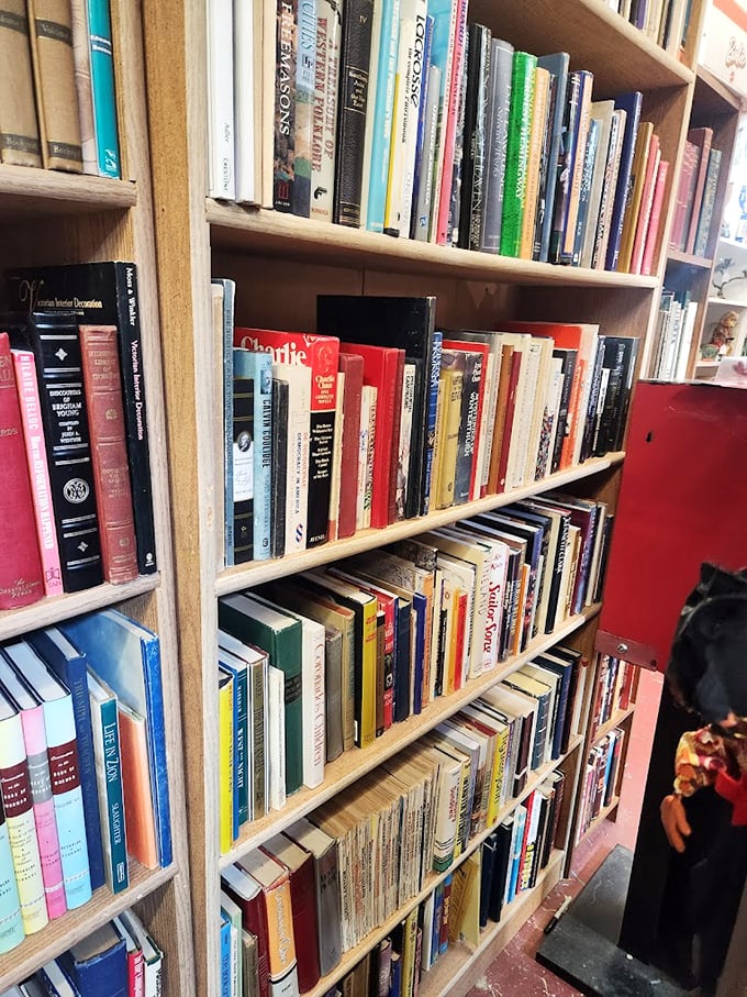 Bookworms beware: you might enter for a quick browse and emerge hours later with armfuls of forgotten classics.