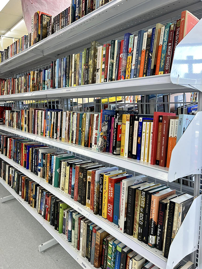 Bookworms rejoice&mdash;these shelves hold forgotten bestsellers and literary treasures just waiting for their next reader.