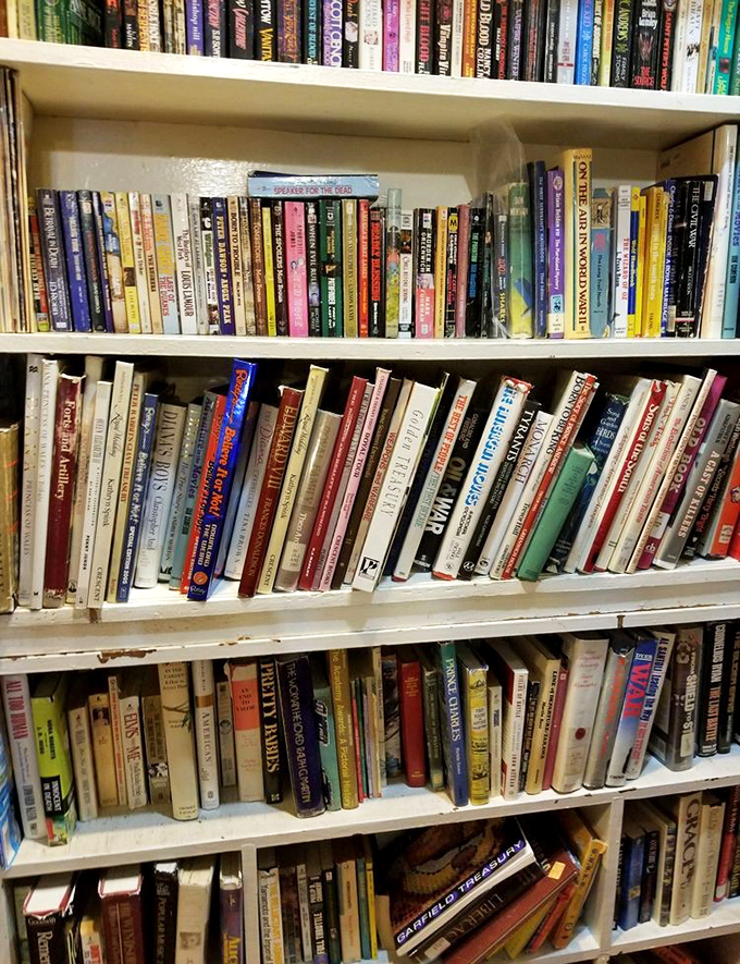 Books stacked like time capsules. Each spine represents someone's favorite story, waiting for its next chapter in a new home.