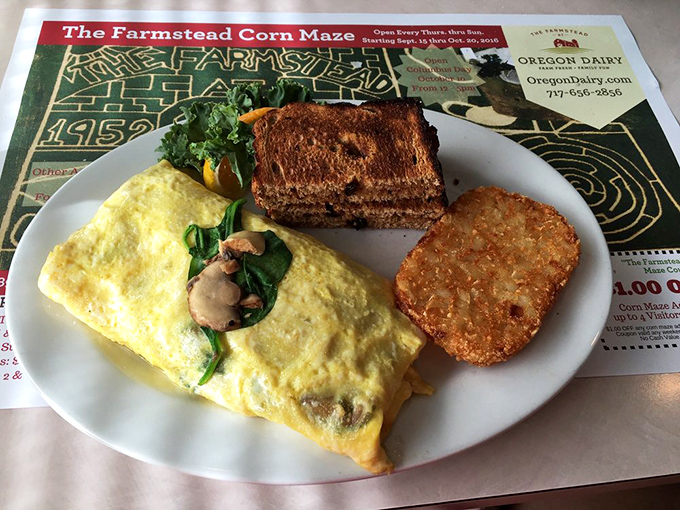 This breakfast platter with its fluffy omelet, perfectly toasted bread, and golden hash brown is the morning trilogy your taste buds have been waiting for.