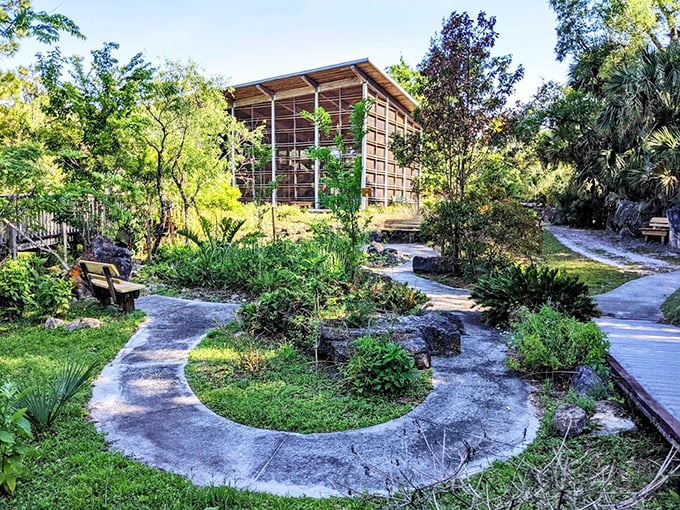 The Enchanted Forest Sanctuary offers shaded trails and wooden walkways through Florida's wild, wonderful natural theater.