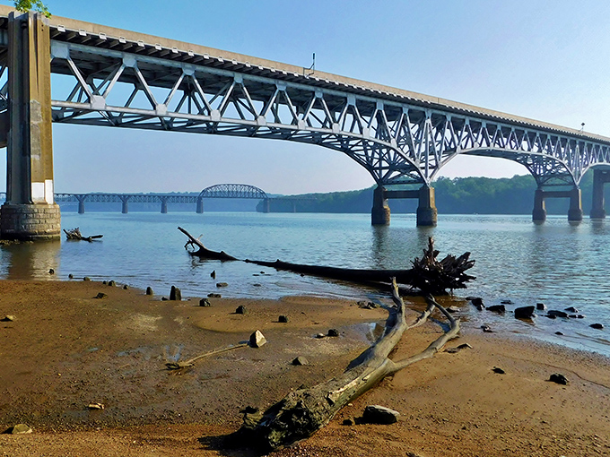 Where land meets water under a dramatic bridge span. The driftwood seems to be posing for its own Maryland tourism brochure.