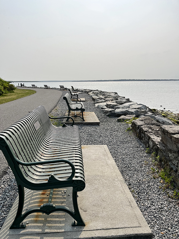 Nothing says "quintessential New England" like a row of benches facing the bay, inviting contemplation and impromptu picnics.