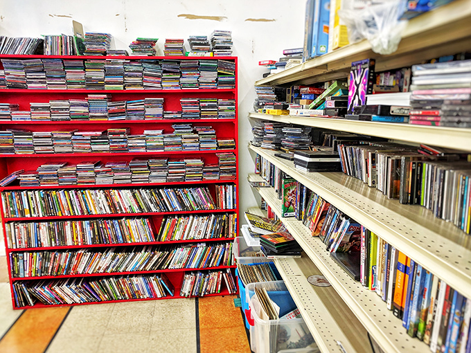 The media section: where forgotten CDs and DVDs form a physical timeline of entertainment history. Remember when we actually owned our music?