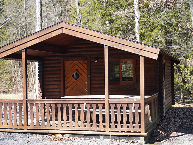 Rustic luxury in the woods&mdash;these cabins offer that perfect middle ground between roughing it and bringing your entire household along for the ride.