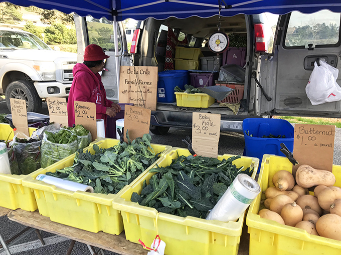 Farm-fresh kale that hasn't been subjected to a celebrity cookbook recipe yet. Cambria's farmers market delivers straight-from-the-soil goodness.