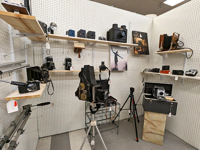 A photographer's time capsule where vintage cameras stand at attention, ready to tell stories of weddings, vacations, and awkward family portraits from decades past.