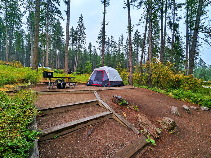 Camping nirvana: where pine-scented air comes standard and five bars of forest reception beats five bars of cell service any day.