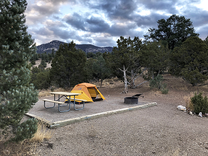 Camping minimalism at its finest: one yellow tent, endless stars, and the kind of silence city folks pay therapists to simulate.