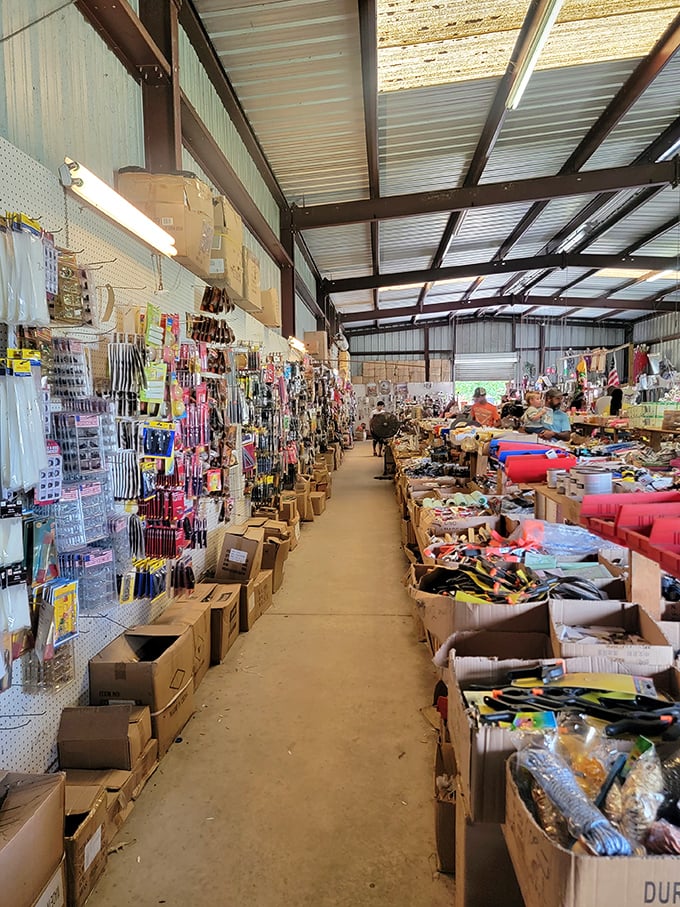 Cardboard boxes become retail displays in this wonderland where organization is optional and discovery is guaranteed.