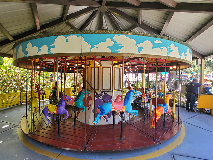 The carousel's hand-painted animals spin with old-fashioned charm, no smartphone app required to enjoy this timeless pleasure.