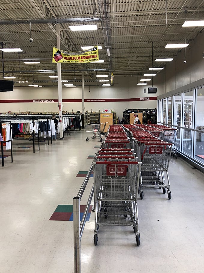Shopping carts stand at attention like an army of metal soldiers, each awaiting its mission to carry unexpected treasures.