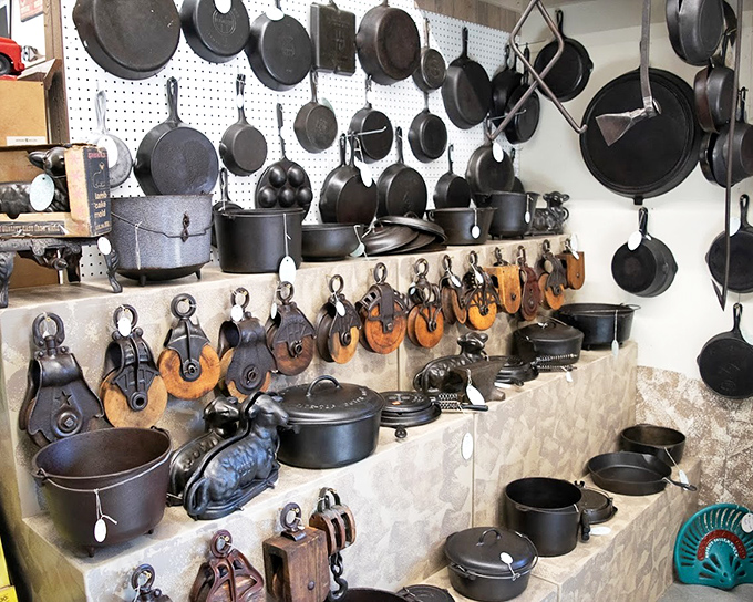 Cast iron heaven! These seasoned beauties have outlived eight-track tapes, dial-up internet, and several presidential administrations.